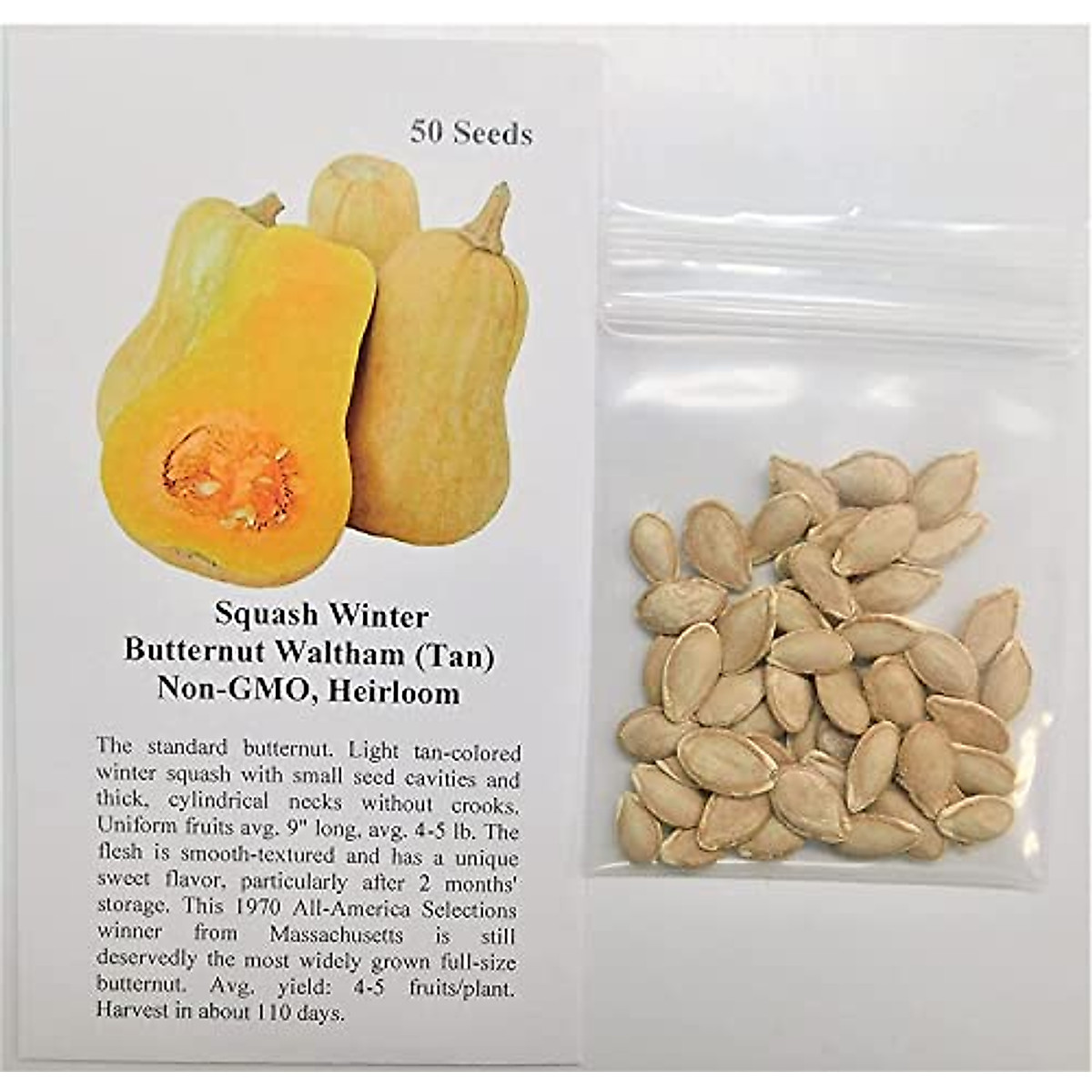 David's Garden Seeds Squash Winter Butternut Waltham FBA-00016 (Tan) 50 Non-GMO, Heirloom Seeds