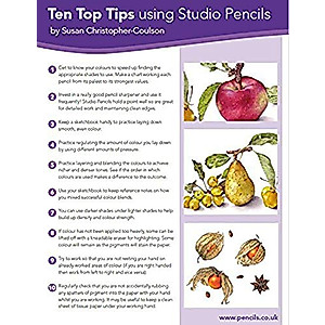 Derwent Studio Colored Pencils, 3.4mm Core, Metal Tin, 12 Count (32196)