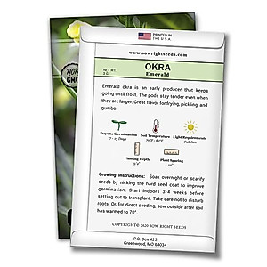 Sow Right Seeds - Emerald Okra Seed for Planting - Non-GMO Heirloom Packet with Instructions to Plant a Home Vegetable Garden - Great Gardening Gift (1)