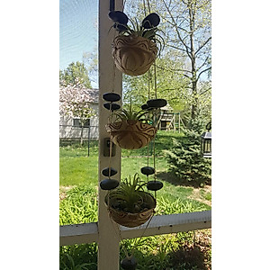 Artificial Air Plants Faux Succulents Plants Unpotted Small Tillandsia Look Real in Flocked Green Premium Crafting DIY Floral Decor for Home Garden Office Party, 3 pcs