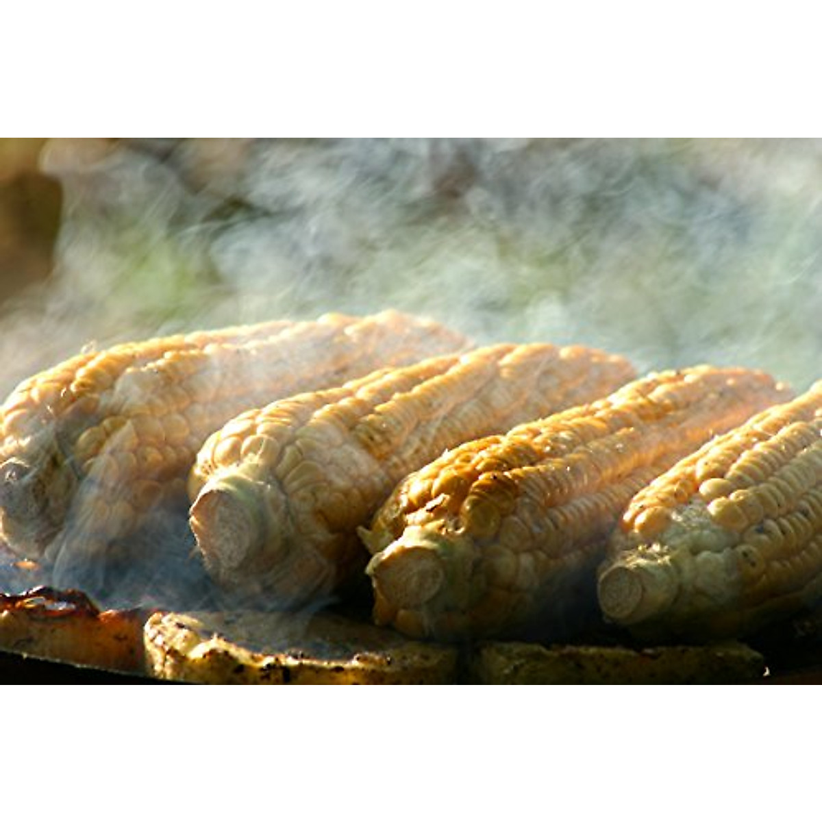 SPARTA 4002600 Stainless Steel Grill Brush, Grill Scraper With Long Handle For Commercial Cleaning, Kitchens, Restaurants, Bathrooms, 30 Inches, Brown