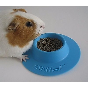 STAYbowl Tip-Proof Ergonomic Pet Bowl for Guinea Pig and Other Small Pets; 1/4-Cup Size; Sky Blue