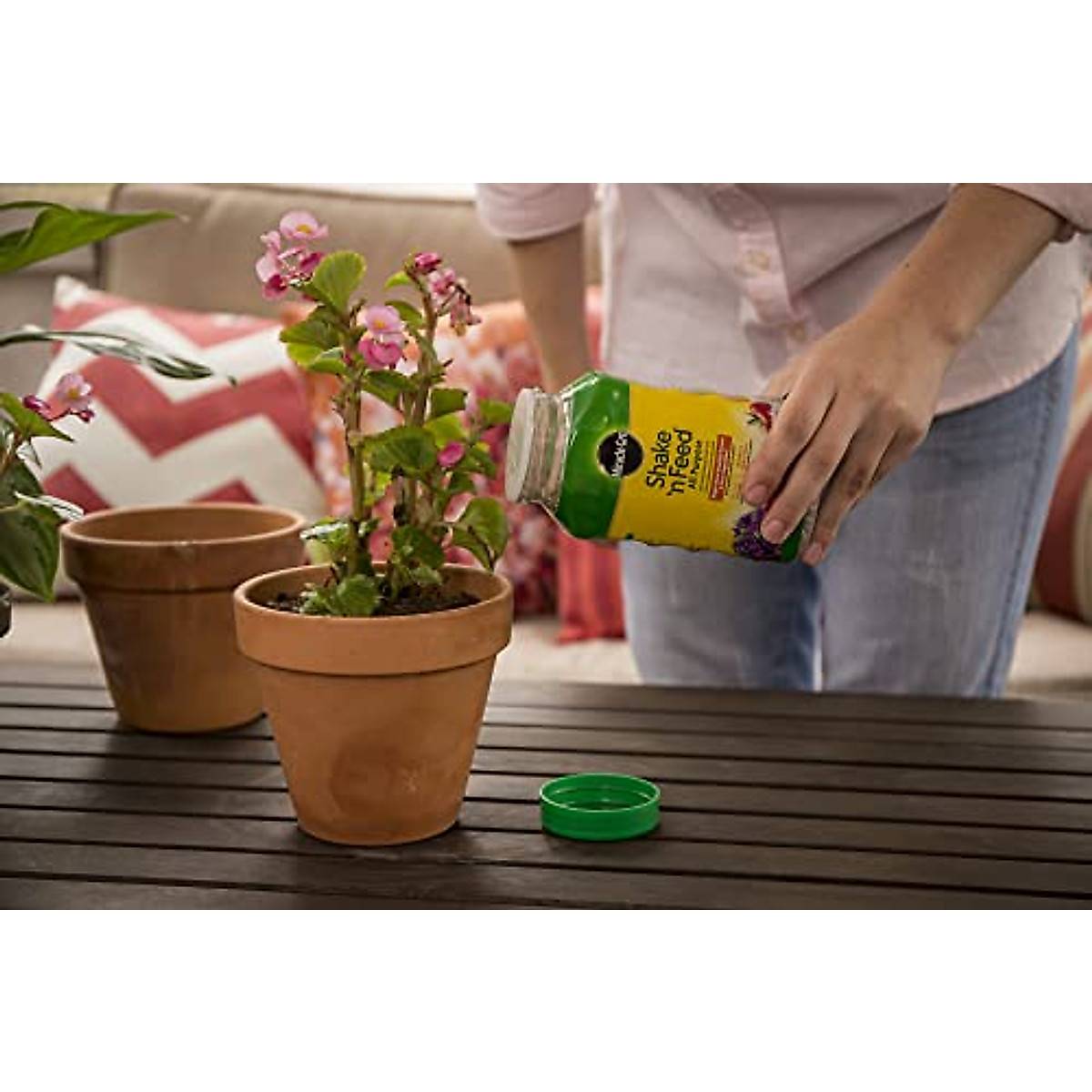 Miracle-Gro Shake 'n Feed All Purpose Continuous Release Plant Food, 1-Pound (Slow Release Plant Fertilizer)