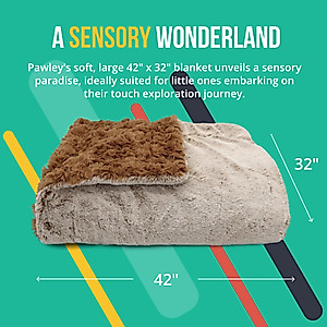 PLUSHIBLE Pawley Blankie Bestie, 2-in-1 Stuffed Animal Bear & Blanket, Soft Sensory Plush Toy Gift for Girls, Boys, Babies, Toddlers & Kids - Toddler Stuffed Animal with Blanket - Boys & Girls Toys