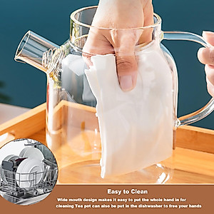 Nevfiro Glass Teapot with Removable Infuser, 1800ml/61OZ Tea Pot Stovetop Safe for Loose Leaf Tea & Blooming Tea, Tea Kettle with Gift Box or Women and Adult