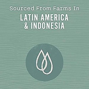 Allegro Coffee Organic Espresso Sierra Whole Bean Coffee, 12 oz