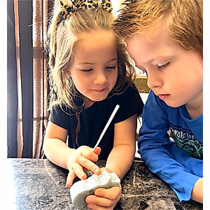 BRAIN TREE - Elephant Soapstone Carving Kit, Carve Your Own Sculpture for Girls, Kids, Boys –Teen Gift -Fun DIY Arts and Crafts Activity for Kids and Adults - DIY Crafts Kit, Soapstone Sculpting Kits