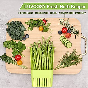 LUVCOSY Herb Keeper Set: 2 Pack Herb Saver+1 Pack Herb Scissors+2 Pack Herb Stripper, BPA-Free Plastic Herb Container for Cilantro, Mint & Asparagus, Keeps Fresh Herbs for 3 Times Longer