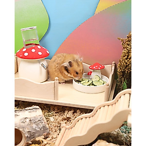 Niteangel Hamster Snack & Treats Toy - Small Animal Natural Treat for Dwarf Syrian Robo Hamsters Gerbils Mice Lemmings Degus or Other Small-Sized Pets (Freeze-Dried Cucumbers)