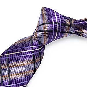 DiBanGu Men's Purple Plaid Tie and Pocket Square Tie Set Classic Checkered Lilac Purple Necktie