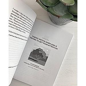 Sticks: Rooting Your Faith in Godly Wisdom When Your Decisions Matter the Most (Storyline Bible Studies)