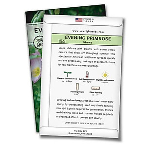 Sow Right Seeds - Showy Evening Primrose Flower Seeds for Planting - Beautiful Flowers to Plant in Your Home Garden - Non-GMO Heirloom Seeds - Native Wildflower, Attract Pollinators - Great Gift