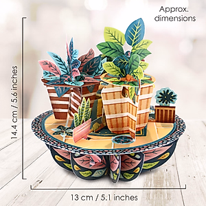 SANTORO Pirouette, 3D Pop Up Greeting Card - Potted Plants - For Him, Her, Mum, Birthday, New Home, New Job, Thank You | Housewarming Gift For Men, Women