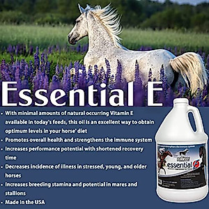Pennwoods Essential E: Equine Vitamin E Supplement for Horse Health, Performance, Recovery & Nutrition - 1 Gallon