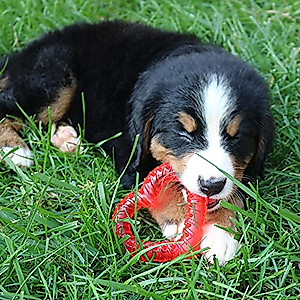 SmartPetLove Snuggle Puppy Teething Comfort Aid for Puppies - Naturally Soothe and Provide Relief with Ice (Heart Shaped)