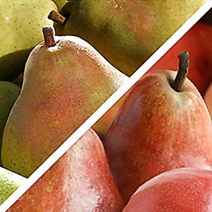 Golden State Fruit Cheese Fruit & Nuts Gift Box