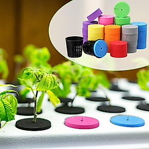 Layhit 120 Sets Clone Collars Neoprene Cloning Collar Inserts 8 Colors 2 Inch Net Pots for Hydroponics Net Cup Pots Hydroponic pots Seed Germination kit for Net Pots Hydroponics Aeroponics