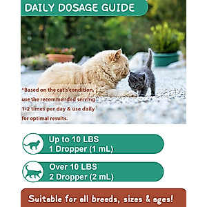 Cat Hairball Control | Hairball Cat Treats for Skin & Coat, Digestion, Nutrient Absorption | Fur Ball Remedy for Cats with Natural Ingredients & Vitamins | Cat Hairball Treatment | Cat Grass Flavor