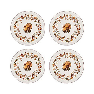 Pfaltzgraff Autumn Berry 16 Piece Dinnerware Set, Service for 4, Multi Colored