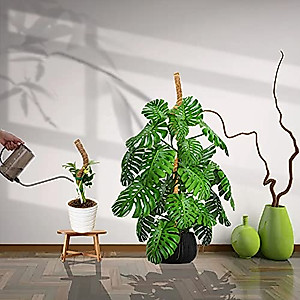 ICoirstream Coir Moss Pole Plant - 2 Pcs 31.5 Inch Coir Moss Pole Bendable and Stackable to 55 Inches - Use Alone or Together. Support Poles for Indoor Climbing Plants