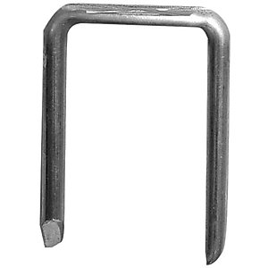 L.H. Dottie RX505 Staple, 2 Nail, 1/2-Inch Width by 1-Inch Length, 500-Pack