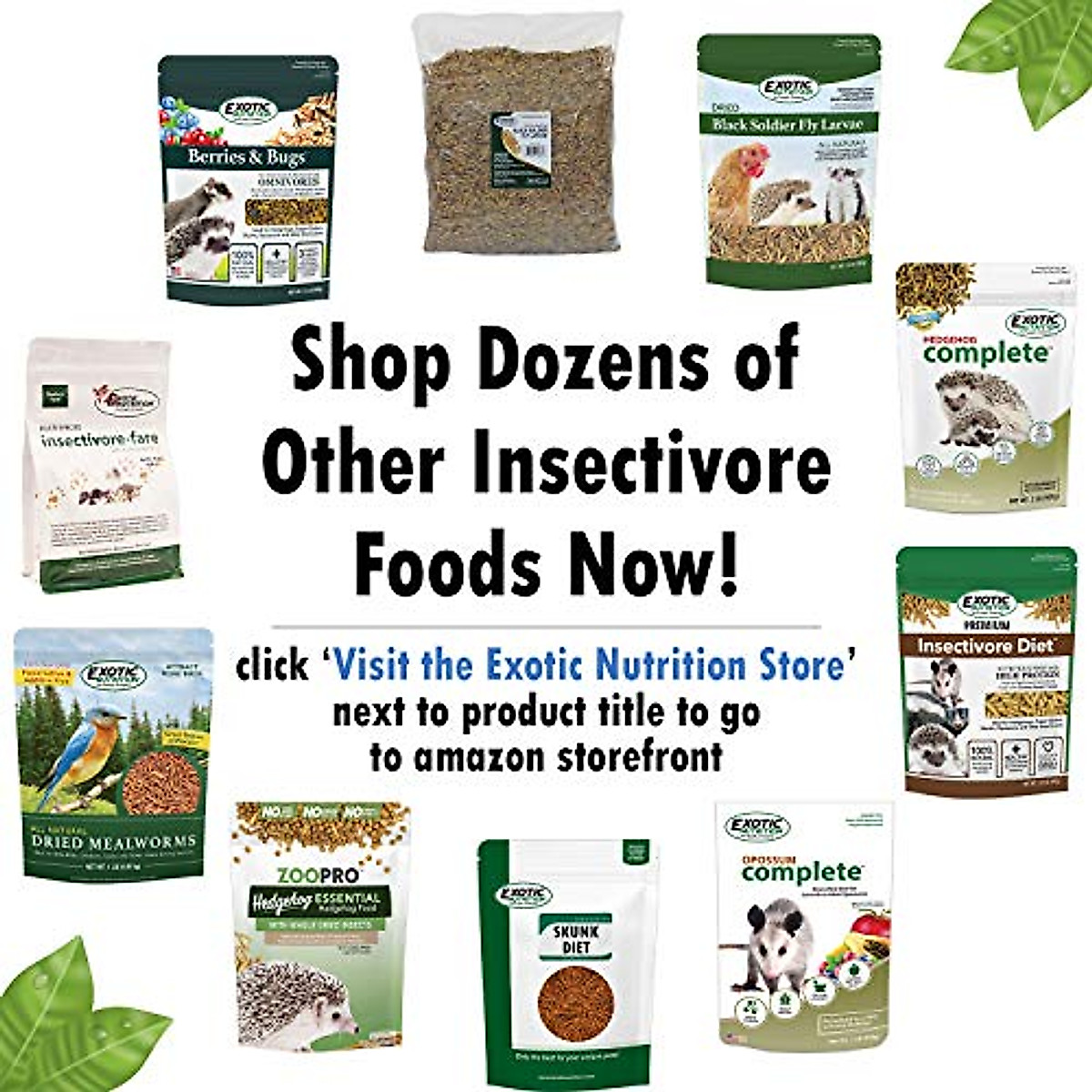 Hedgehog Complete 2 lb - Nutritionally Complete Natural Healthy High Protein Pellets & Dried Mealworms - Food for Pet Hedgehogs