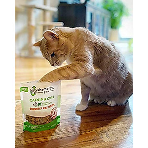 SHAMELESS PETS Catnip Treats - Crunchy Cat Calming Treats with Digestive Support, Sustainable Upcycled Natural Ingredients & Real Chicken, Low Calorie Healthy Feline Food - Catnip N Chill, 3-Pk