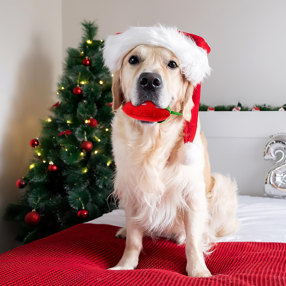 POPETPOP 2Pcs Dog Plush Squeaky Toys - Soft Strawberry Shape Interactive Puppy Chew Toy Stuffed Strawberry for Dogs Teething, Playing, Chewing for Holiday Christmas