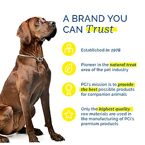 PCI Pet Center Inc. Pigearz 10ct - Natural