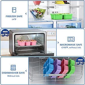 KHOXU Bento Lunch Box, 5 Compartment Meal Prep Container, Reusable, Durable, Stain-Resistant, Microwave & Dishwasher Safe, Blue/Purple/Green