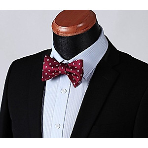 HISDERN Mens Bow Ties Red Polka Dots Self-Tie Bow Tie and Pocket Square Classic Formal Business Bowtie Tuxedo Wedding Bowties Handkerchief Set