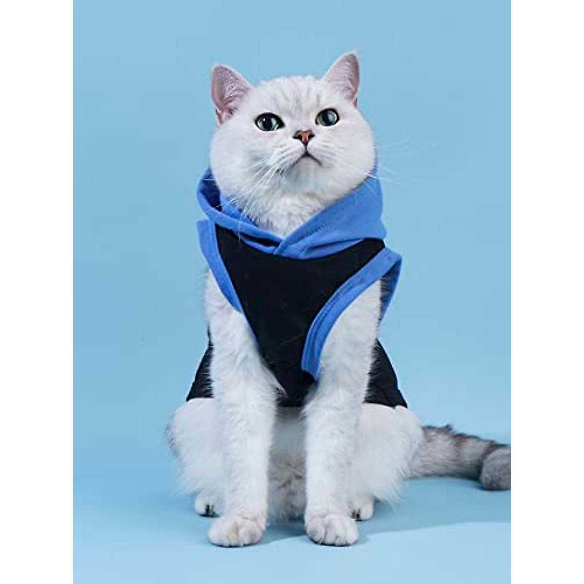 QWINEE Mom Boy Dog Hooded Tank Tops Letter Print Cat Puppy Hoodie Vest Sleeveless Pullover Dog Shirt Stretchy Pet Clothes for Small Medium Large Cats Dogs Kitten Blue M