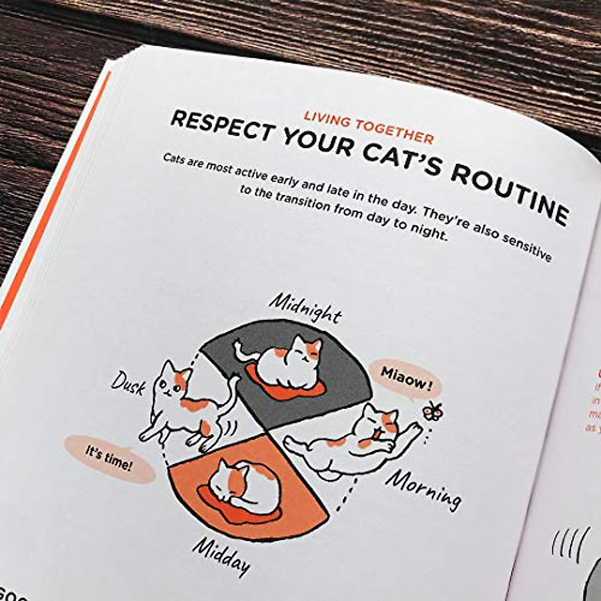 What Cats Want: An illustrated guide for truly understanding your cat