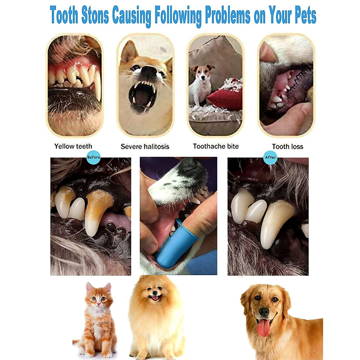 Teeth Cleaning Kit Dog Plaque Tartar Remover Tools Pet Dental Tooth Scaler and Scraper Silicone Finger Toothbrush for Puppy Cats Tooth Pick Stone Remover Dogs Oral Care Hygiene Cleaning Tools (12Pcs)