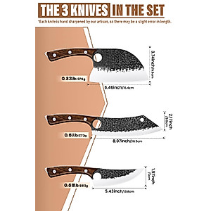 Purple Dragon 9 pcs Chef Knife Set, High Carbon Steel Hand Forged Meat Boning Carving Cleaver Butcher Knife with Accessories for Kitchen, BBQ Camping Knives Set with Roll Bag