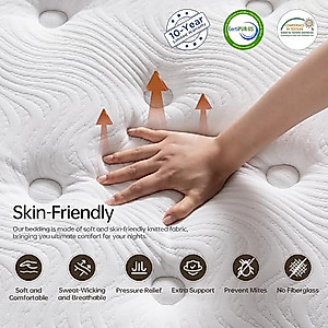 Queen Mattress 12 Inch,Medium Firm,Hybrid Mattress in a Box,with Memory Foam&Thick Coil Pocket Springs,Motion Isolation&Pain Relief&Lumbar Support,Enhanced Edge Support,Certified Safe Foam&Fabrics