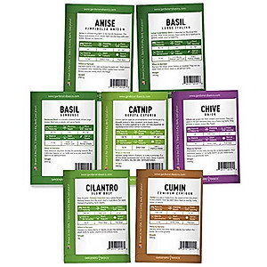 15 Herb Seeds For Planting Varieties Heirloom Non-GMO 5200+ Seeds Indoors, Hydroponics, Outdoors - Basil, Catnip, Chive, Cilantro, Oregano, Parsley, Peppermint, Rosemary and More By Gardeners Basics