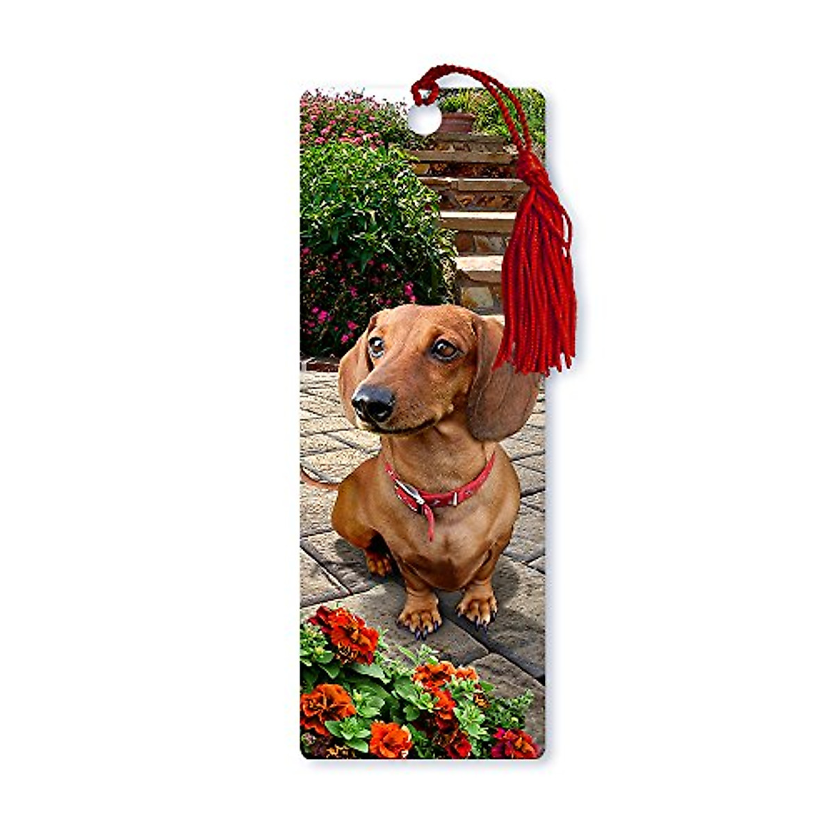 Dimension 9 3D Lenticular Bookmark with Tassel, Dachshund, Pet Breed Series (LBM049)