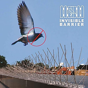Bird-X Extra Wide 8-inch Stainless Steel Bird Spikes - Metal Roof Guard, Pigeon and Bat Deterrent, Animal and Pest Control Supplies, Covers 10 Feet