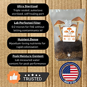 MycoLabsDirect All-in-One Mushroom Grow Bag - 3lbs with Grain and Substrate - Grow Edible and Medicinal Mushrooms at Home with Pre-Sterilized Bags