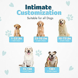 Pawadox - Hemp Joint Chews for Dogs - Mobility Hemp Dog Treats for Hip and Joint Health, Organic Turmeric Supplement for Dog Arthritis Pain Relief- Made in USA, SQF Certified - Duck Flavor,120 Count