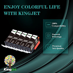 Kingjet Compatible for Canon 220 Black Ink Cartridge Replacement for PGI-220 PGI220 Work with PIXMA MP560 MP620 MP620B MP640 MP980 MP990 MX860 IP3600 IP4600 IP4700 Printer, 5 Pack for 220 XL Black Ink