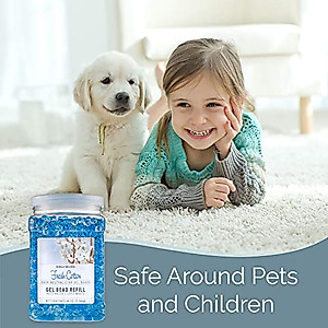 SMELLS BEGONE Odor Eliminator Gel Bead Refill - Eliminates Odors from Bathrooms, Cars, Boats, RVs & Pet Areas - Made with Essential Oils - Fresh Cotton Scent - 48 Ounce