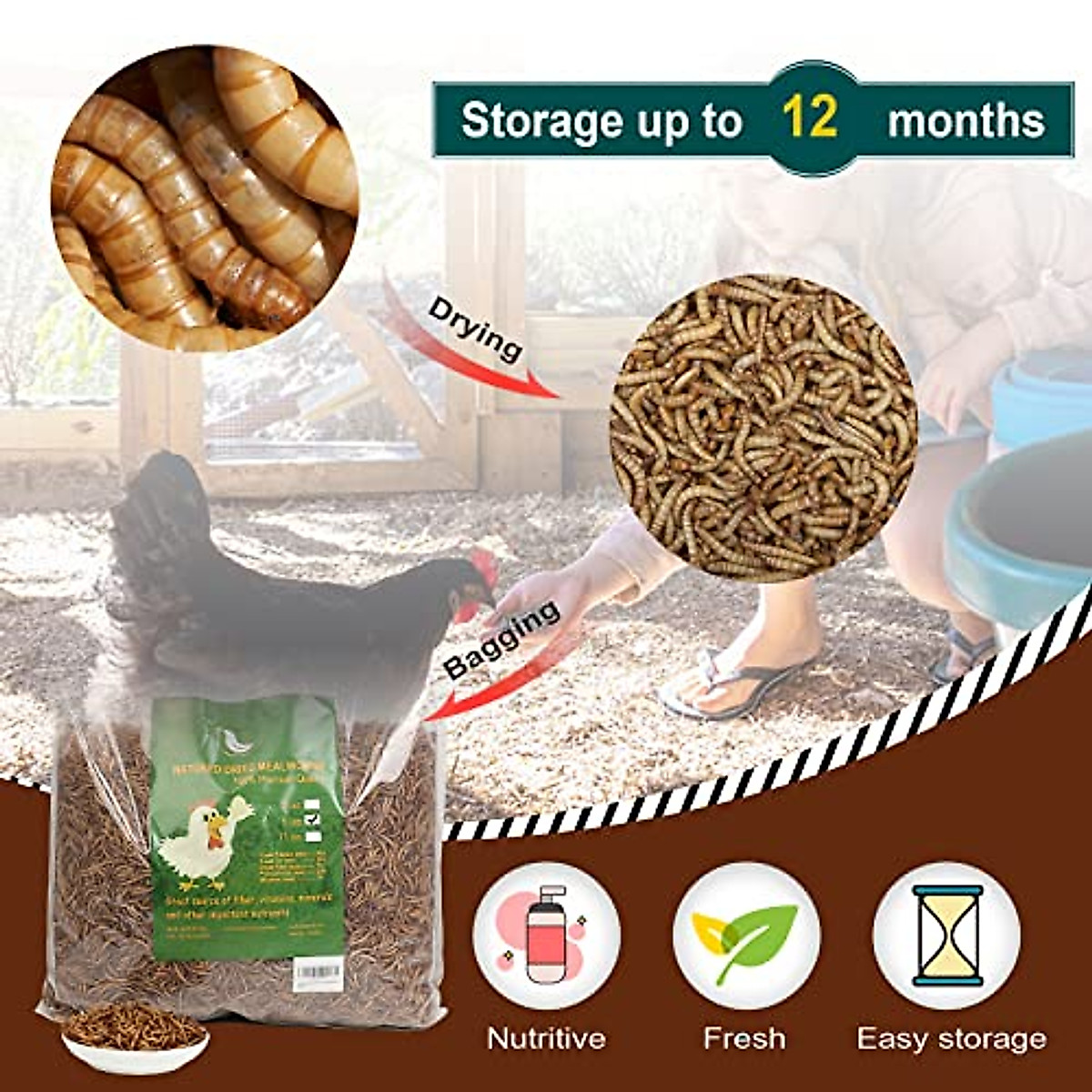 Euchirus Non-GMO High-Protein Large Dried Mealworms for Chickens, Natural Grubs and Poultry Treats as Chicken Feed,Duck Food, Wild Birds Seed,Fish Food,Reptile Food,Amphibian Food(Mealworms-5LB)