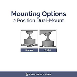 Prominence Home 51639-01 Potomac Smart Ceiling Fan and Remote, 52, Matte Black