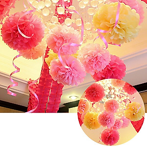 25PCS Tissue Paper Pom Poms Pink Paper Flowers DIY Paper Craft Decorations for Baby Shower Party Decorations, Birthday Party, Wedding Decor, Valentines Day, Bridal Shower Decorations-Pink mix