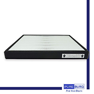 PUREBURG FLT5900 Replacement Filter Set Compatible with GermGuardian AC5900WCA Air Purifier Filter J,2-Pack H13 HEPA +Activated Carbon Pre-Filters x 4