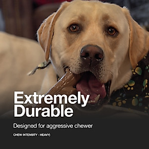 Hero Bonetics 3 Pack Dog Bundle with Treat Bone - Promotes Healthy Teeth & Gums - Mint Dental Bone, Wood Scented Stick, Peanut Butter Femur Bone - for Medium Dogs