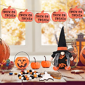 Halloween Tiered Tray Decor Home Table Deccorations - Cute Gnomes Plush and Bead Garland, Trick or Treat Signs Pumpkin Bucket with Led, Foam Pumpkin, Farmhouse Rustic, Black
