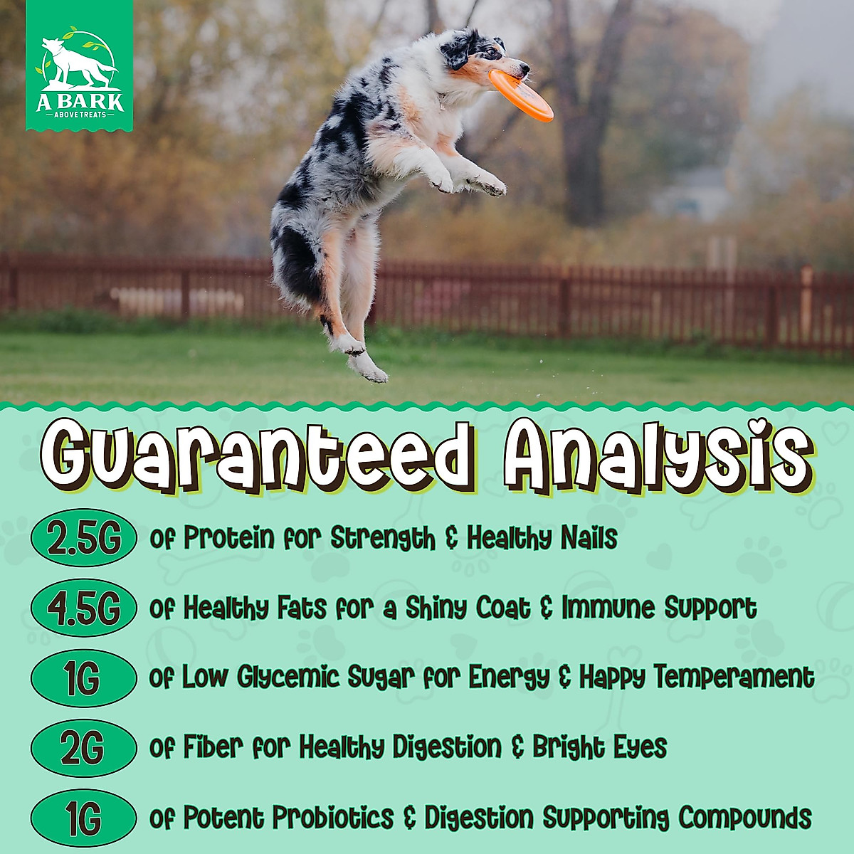Zoomie Butter Gut & Digestive Pre & Probiotic Dog Peanut Butter Spread, All Natural Dog Treat. Human Grade & Safe Puppy Food, Peanuts & Blueberries for Digestion, Inflammation, Grown & Made in USA